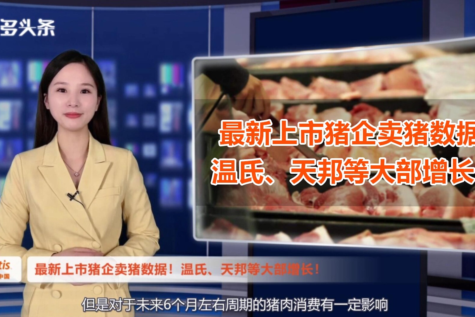 猪价涨了 上市猪企疯狂出栏牧原首超500万头 独领风骚 凤凰网视频 凤凰网