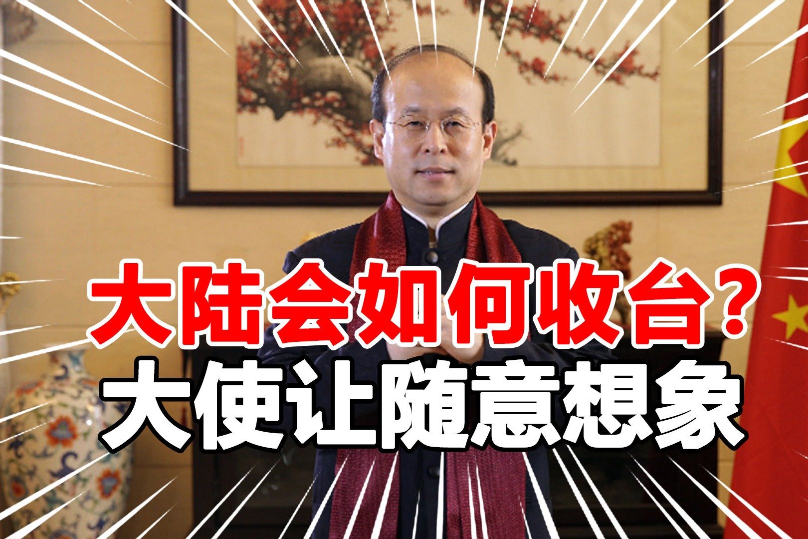 大陆会以什么方式收台我大使称能用一切手段可随意发挥想象力 凤凰网视频 凤凰网