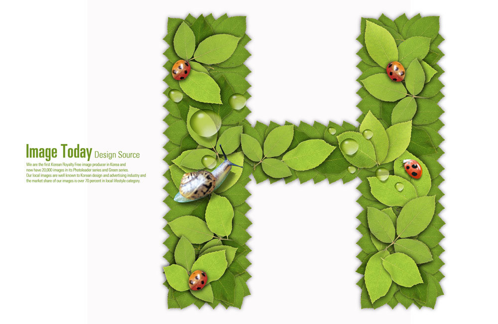 HelpSystems现已更名为Fortra 新的品牌标识标志着公司战略转变 __凤凰网