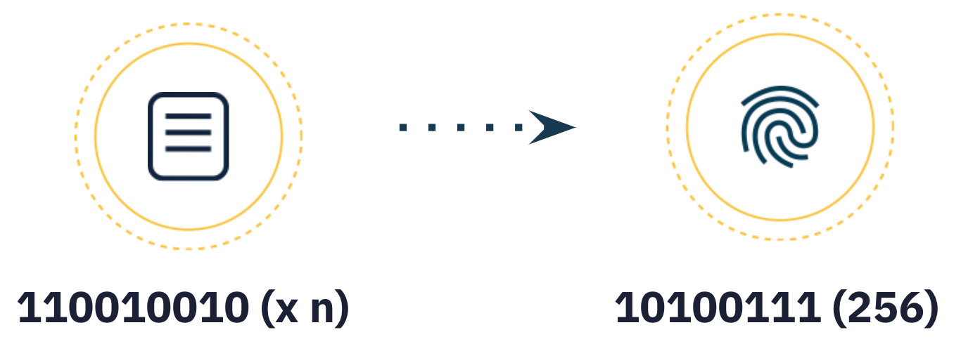 科普｜“CID”使IPFS和Filecoin在存储方面的作用__凤凰网