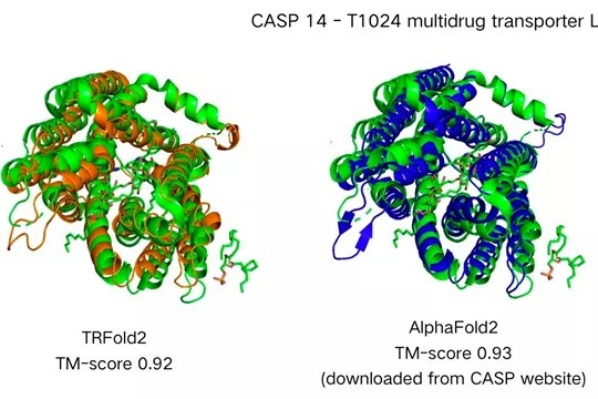 效果媲美AlphaFold2，国产蛋白结构预测平台TRFold排名全球第二_凤凰网