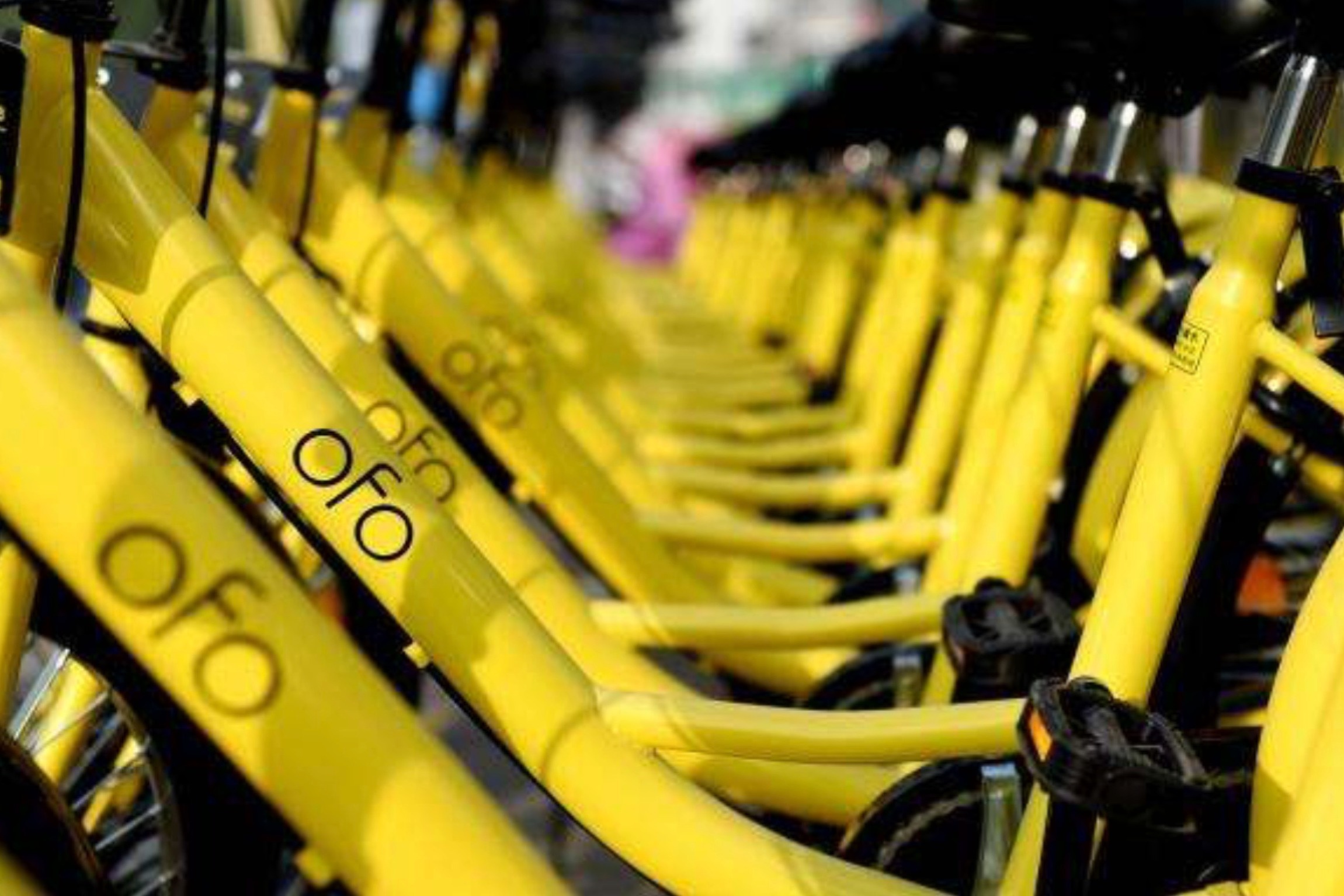 ofo公司接连注销 你的押金退了吗？_凤凰网视频_凤凰网