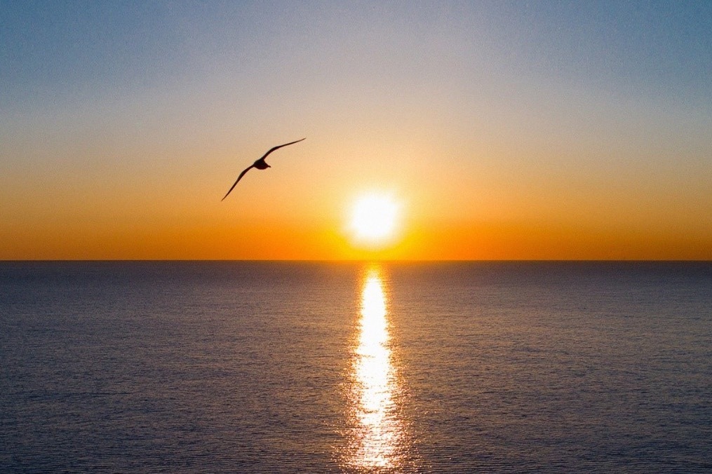 荣耀全球品牌主题曲《GO BEYOND》正式首发_凤凰网