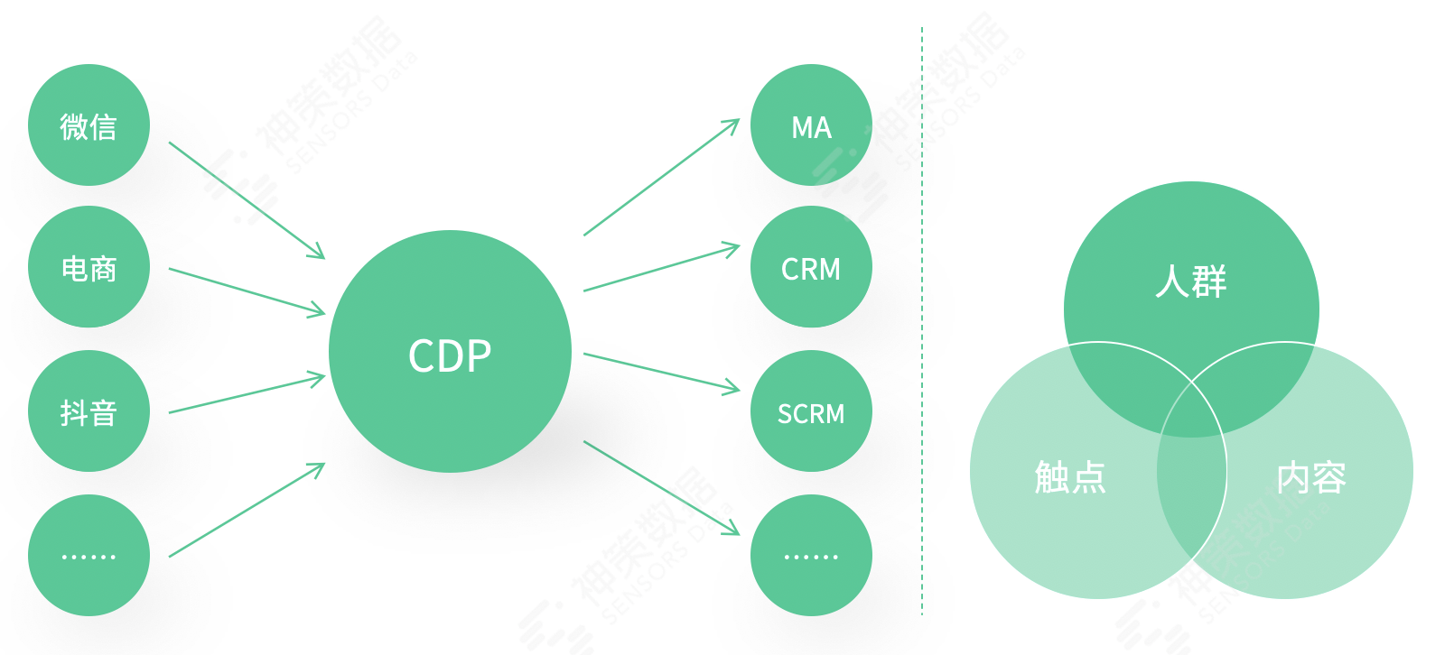 90% 的 CDP 成了摆设？3 家零售企业说可以这么玩__凤凰网