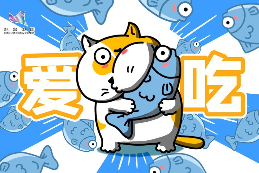 搞错了!原来猫最爱吃的居然不是鱼?凤凰网视频凤凰网