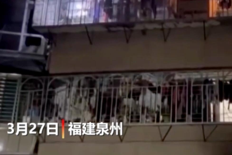 福建泉州首个封控小区将转为管控 居民用歌声致敬志愿者凤凰网视频凤凰网