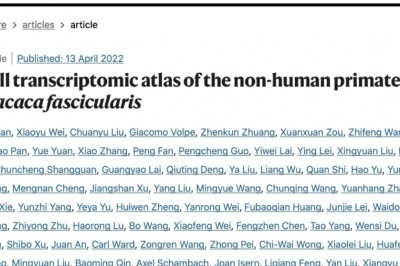 华大智造单细胞利器DNBelab C4助力全球首个非人灵长类动物全身器官细胞图谱发布_凤凰网商业_凤凰网