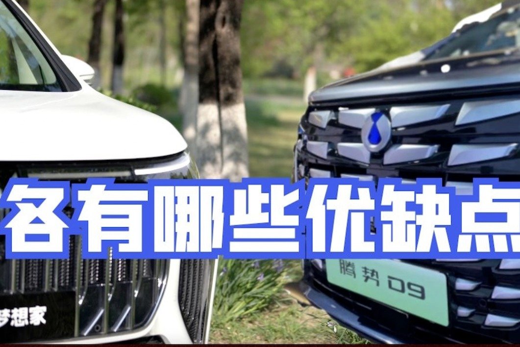 工科女回答网友：腾势d9与岚图梦想家各有哪些优缺点 凤凰网视频 凤凰网