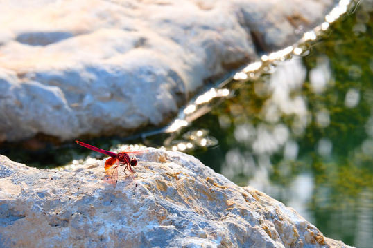 Sceye高空平台电台利用可再生能源升至平流层__凤凰网